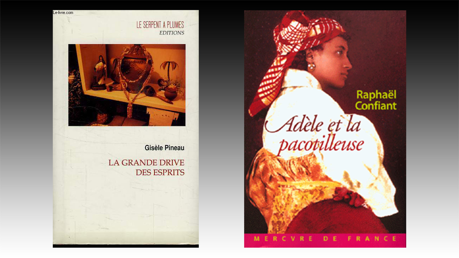 Writing back to Hugo: Intertextuality in the works of Raphaël Confiant ...